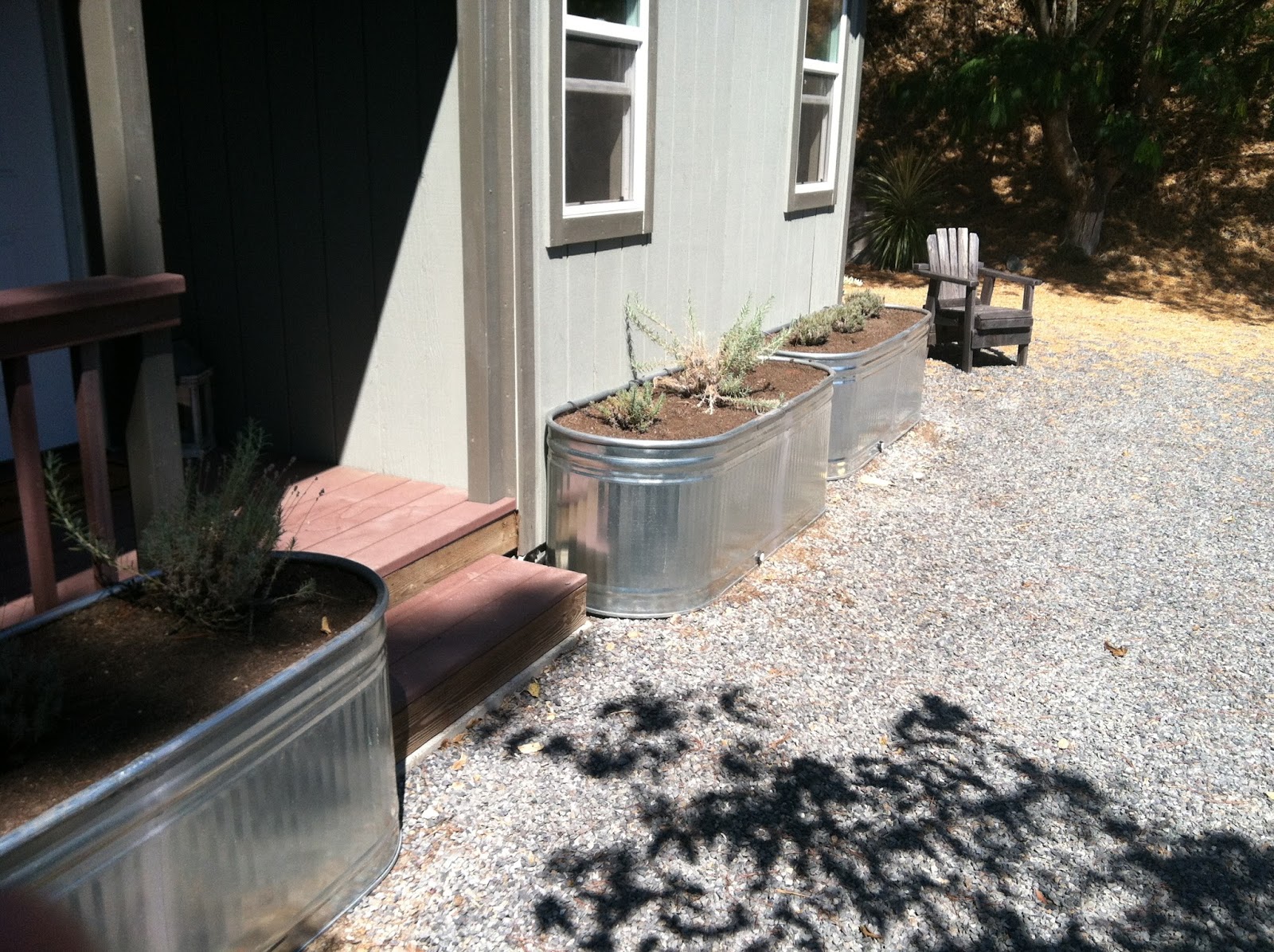 Raised Beds Galvanized Trough at Leslie Hackett blog