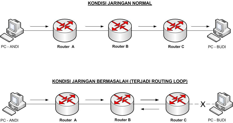 ROUTING LOOP | TEKNIK ROUTING _ White Flower