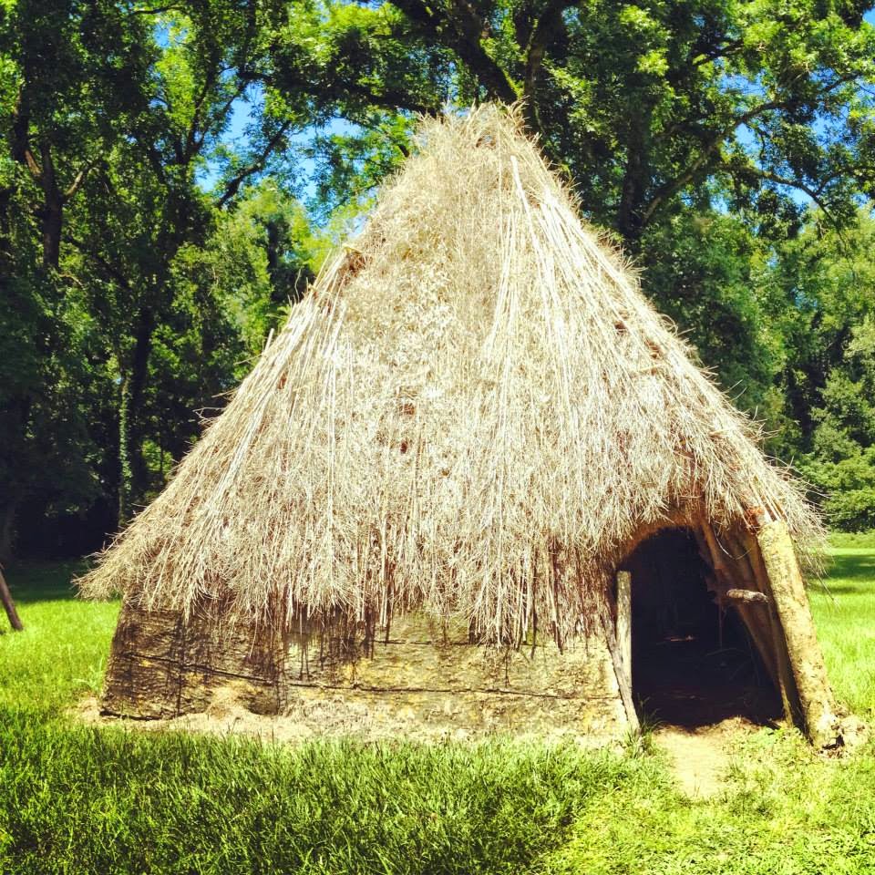 Instead of Doing Dishes: Hello Natchez Indians...we meet again!