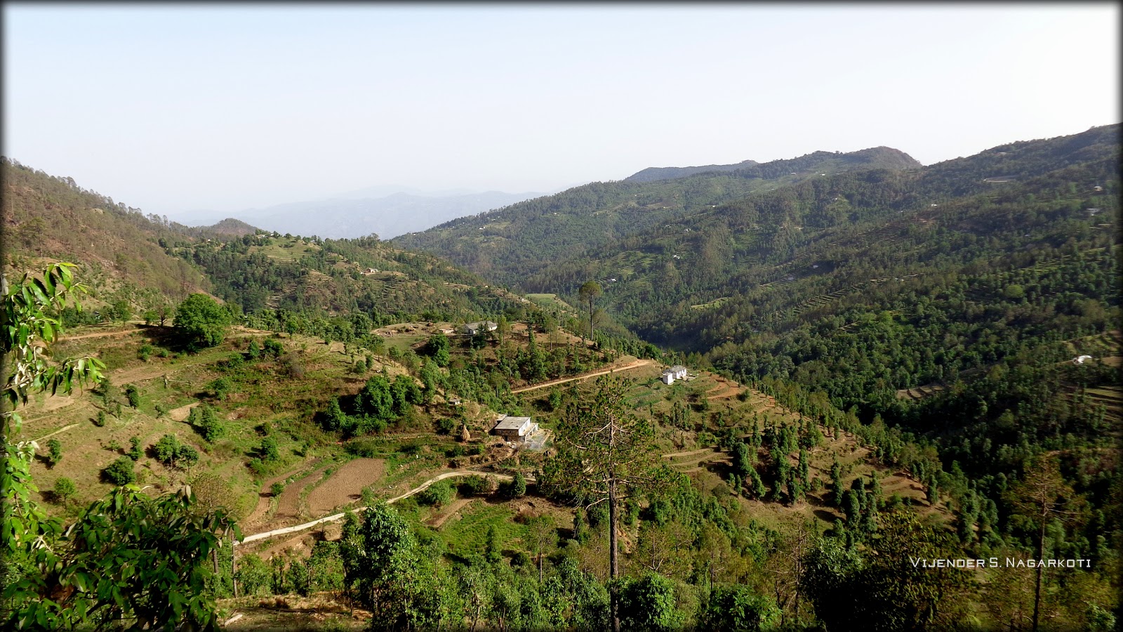 Uttarakhand Tourism: Dwarahat Dunagiri & Pandavkholi Photos