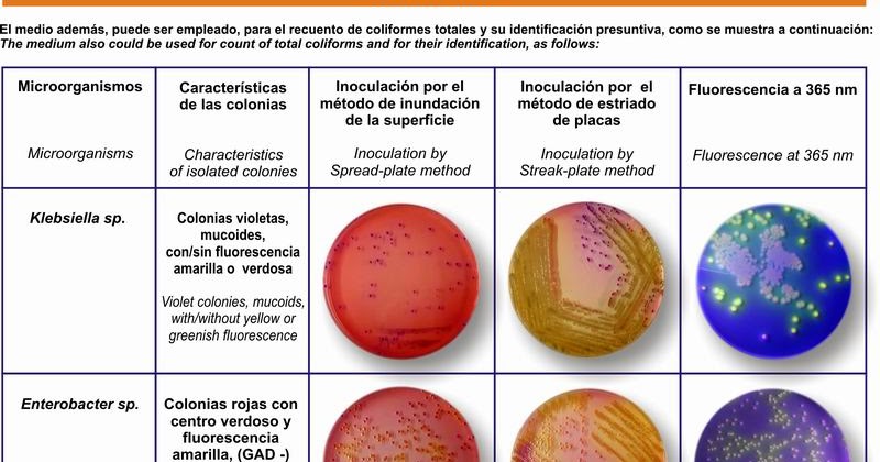 Microbiología: Medios de cultivo