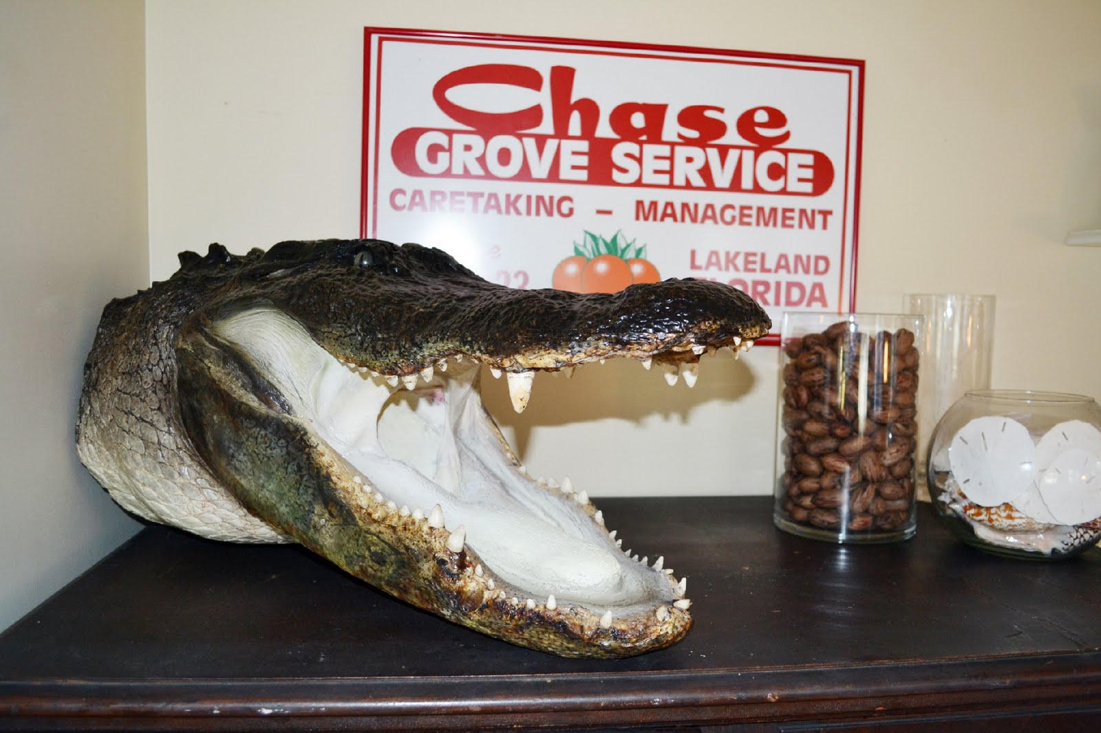 The Wild Life: The Gator Mount