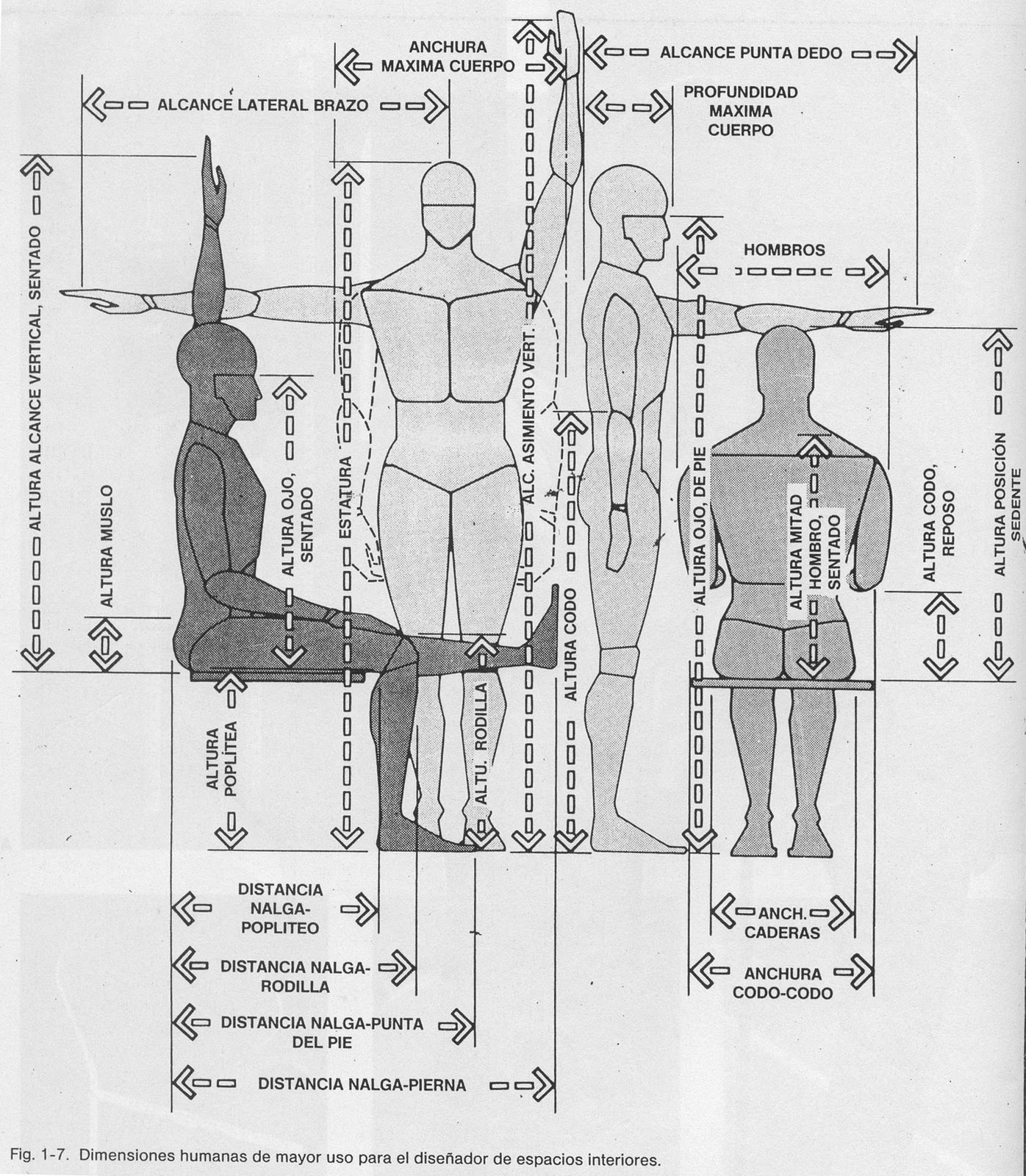 Unidad 2 - Antropometría