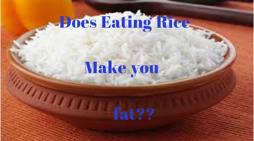 Does eating rice everyday Makes you fat? ~ Fitness Mantra Hub