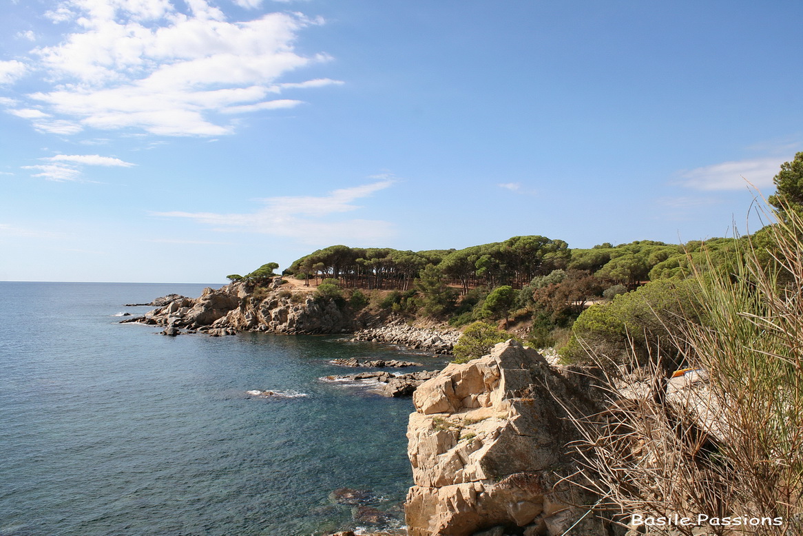 Cala Estreta - Randonnée - Palamós (Espagne) - Un aller retour littoral ...