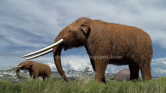Noticias de Paleontologia: Notiomastodon platensis, el elefante ...