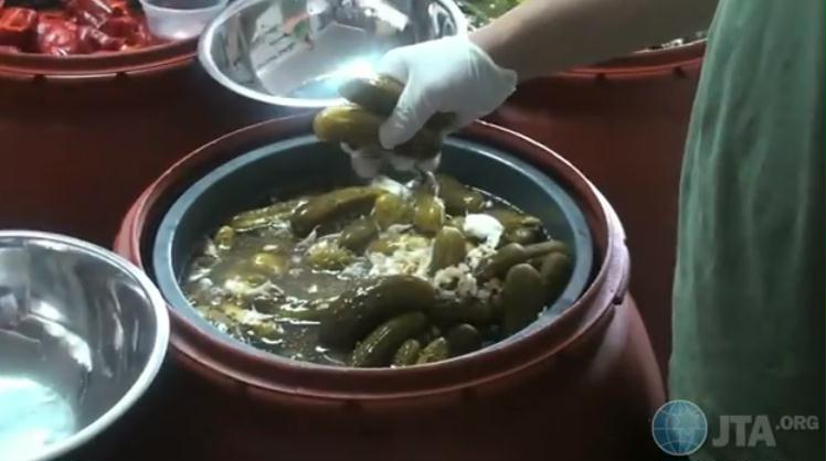 Jewish Humor Central: Everything You Wanted to Know About Pickles But ...
