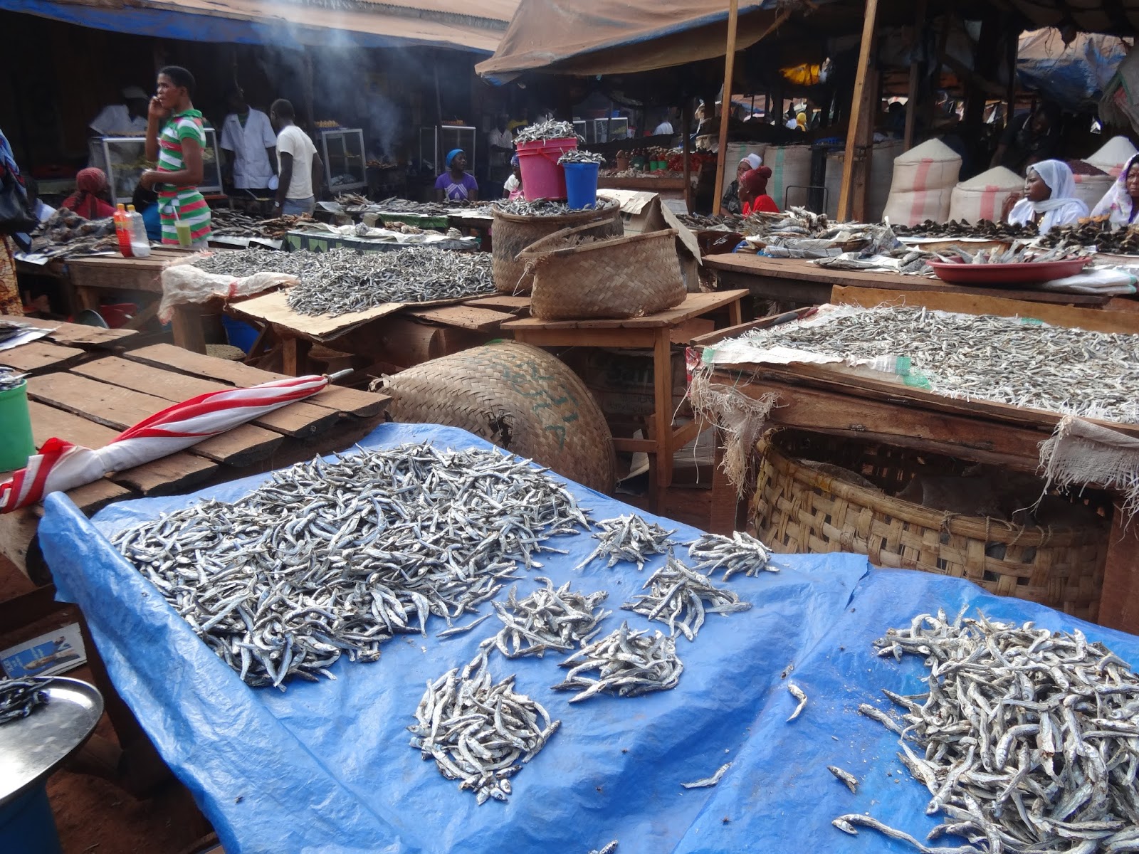 CATHY - HABARI: WANAFUNZI WA SHULE YA SEKONDARI MSAMALA SONGEA ...
