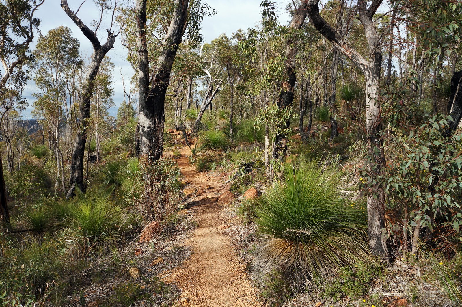 Eagle View Walk Trail (John Forrest National Park) ~ The Long Way's Better