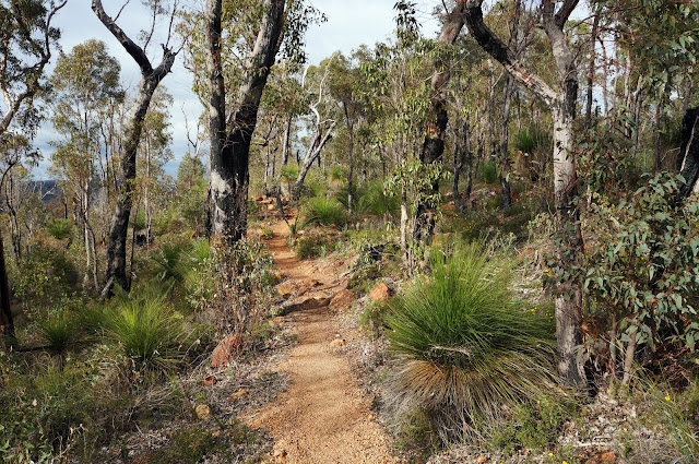 Eagle View Walk Trail (John Forrest National Park) ~ The Long Way's Better