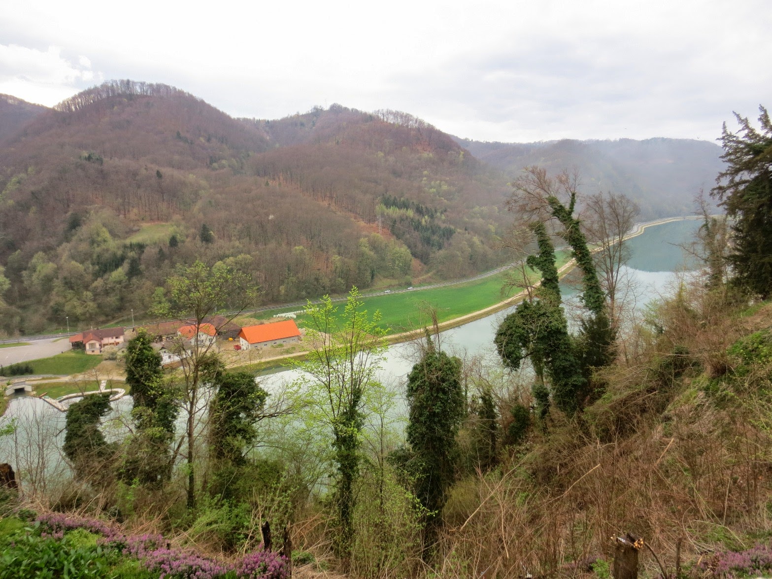 Menard & Jack Russell Terrier: Grad Rajhenburg in grad Turn