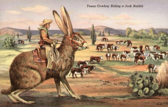 Christoph Roos: Killer Rabbits in Medieval Manuscripts