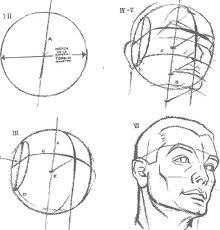 Proporciones del rostro