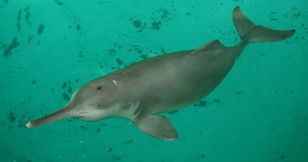 "Sampath Speaking" - the thoughts of an Insurer from Thiruvallikkeni ...