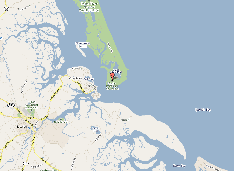 New England Coastal Birds: May 23, 2011