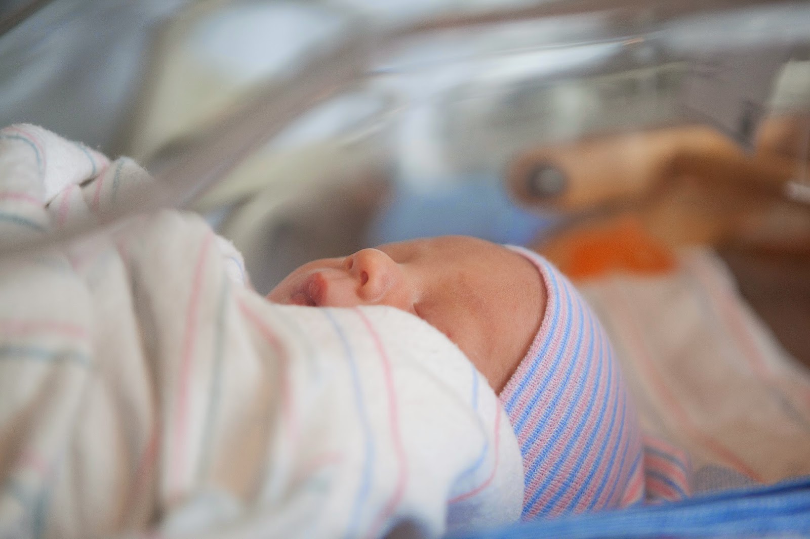 Alia Steele Photography