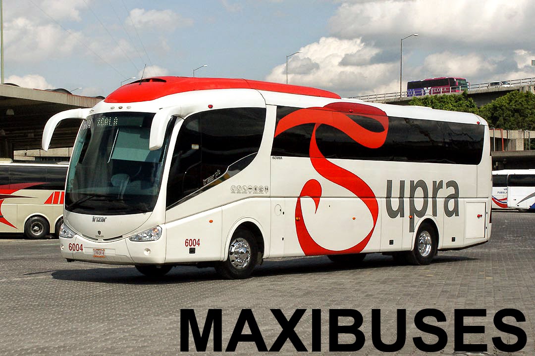 MAXIBUSES: SUPRA