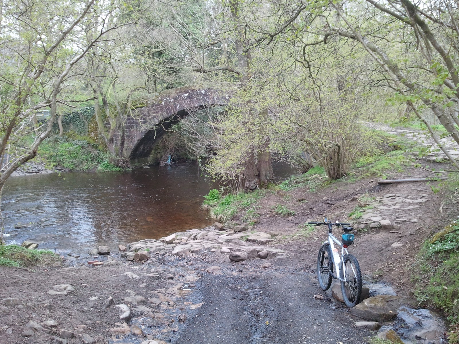 Peter Cocker: April 2012