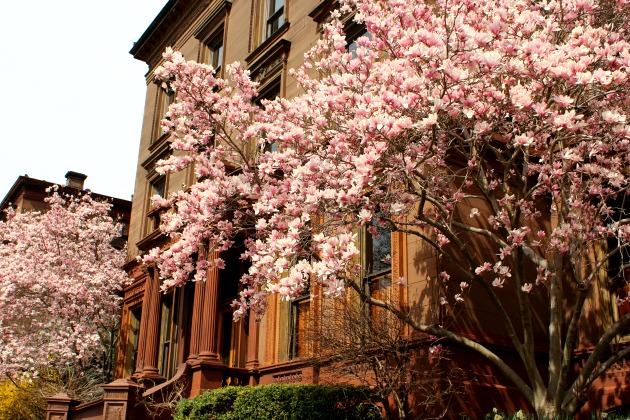 Spring In Philadelphia And Happy Easter [ Being Ron ]