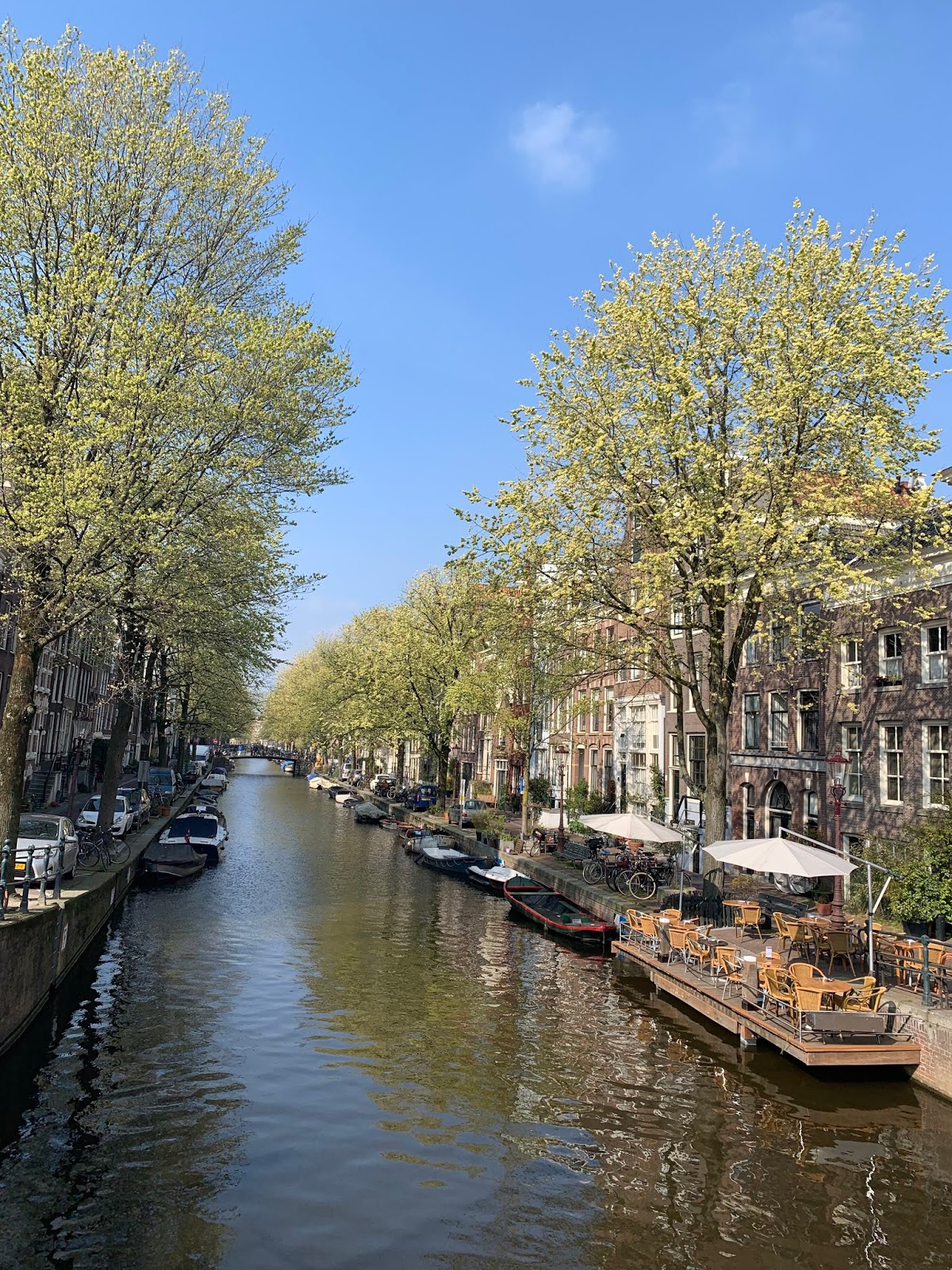 Travel // Amsterdam in Spring - Roses and Rolltops