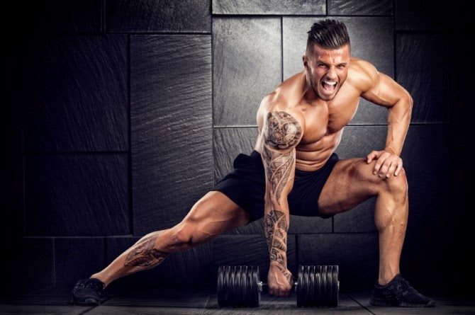 Build Your Muscles Right Here.....!: Visual Impact Muscle Building ...