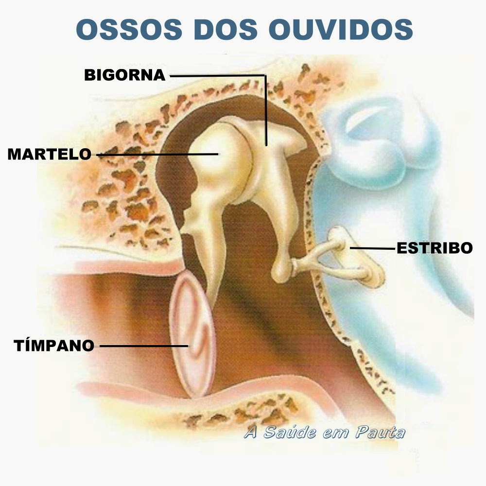 Martelo Bigorna E Estribo - FDPLEARN