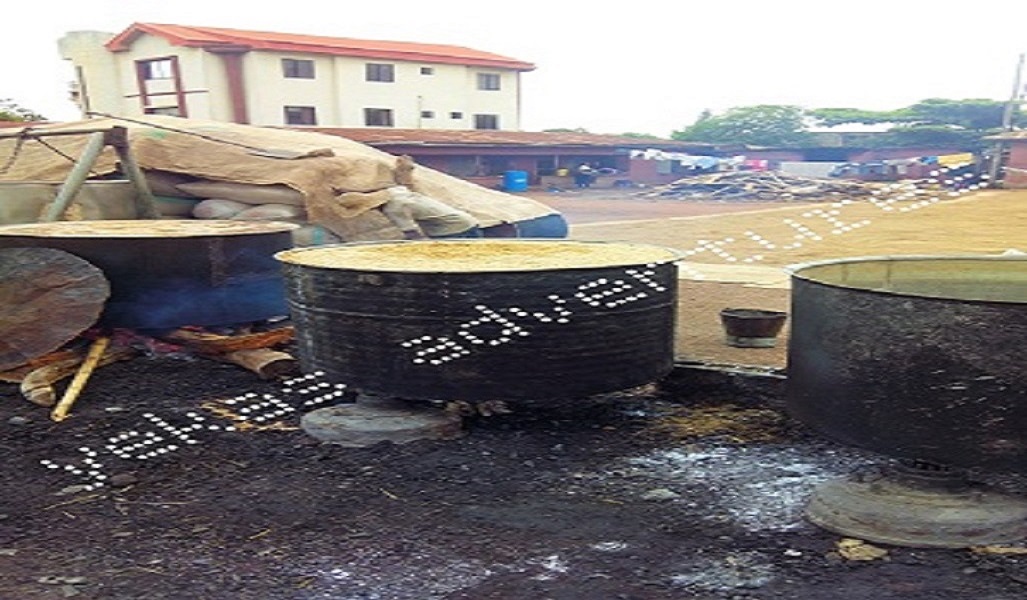 YEKA'S ADVENTURES: RICE FARMING IN ABAKALIKI