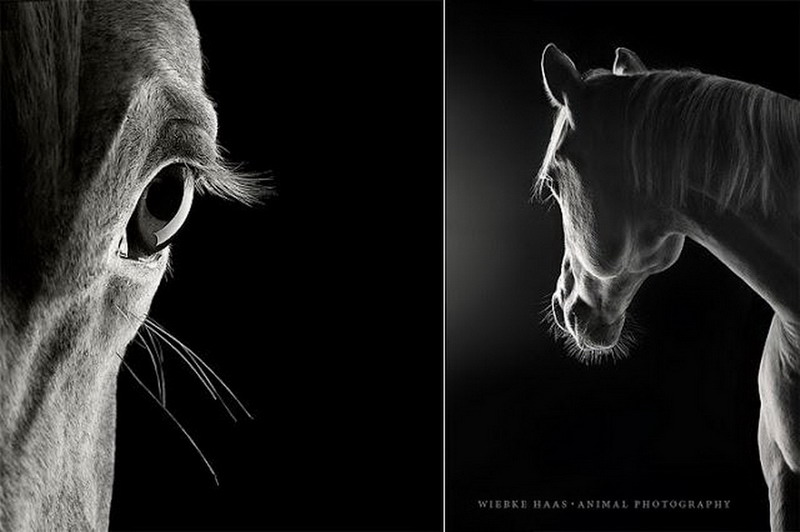 Historia y evolución de la pintura artística : Espectaculares Imágenes ...