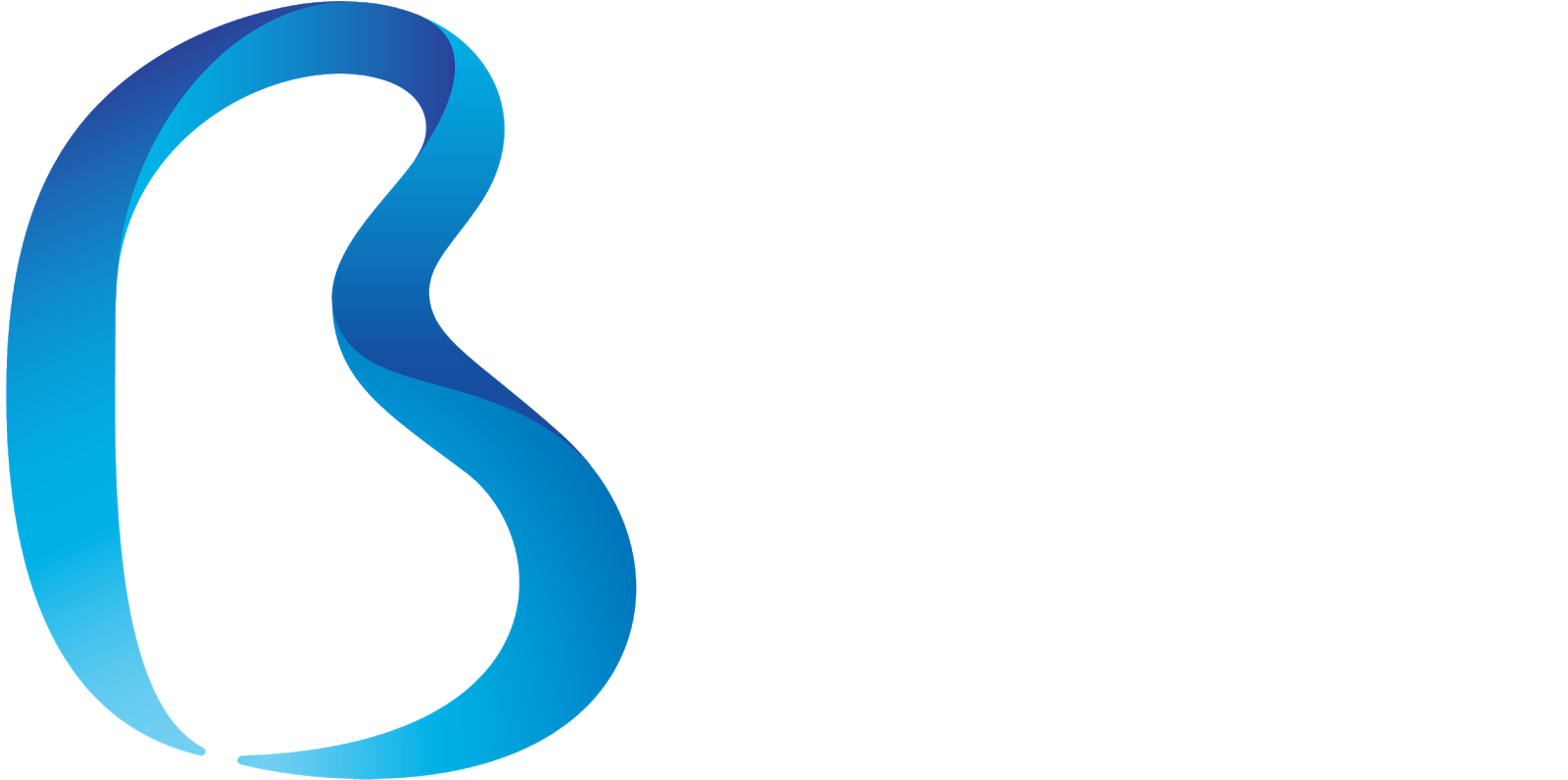 Biznet company profile