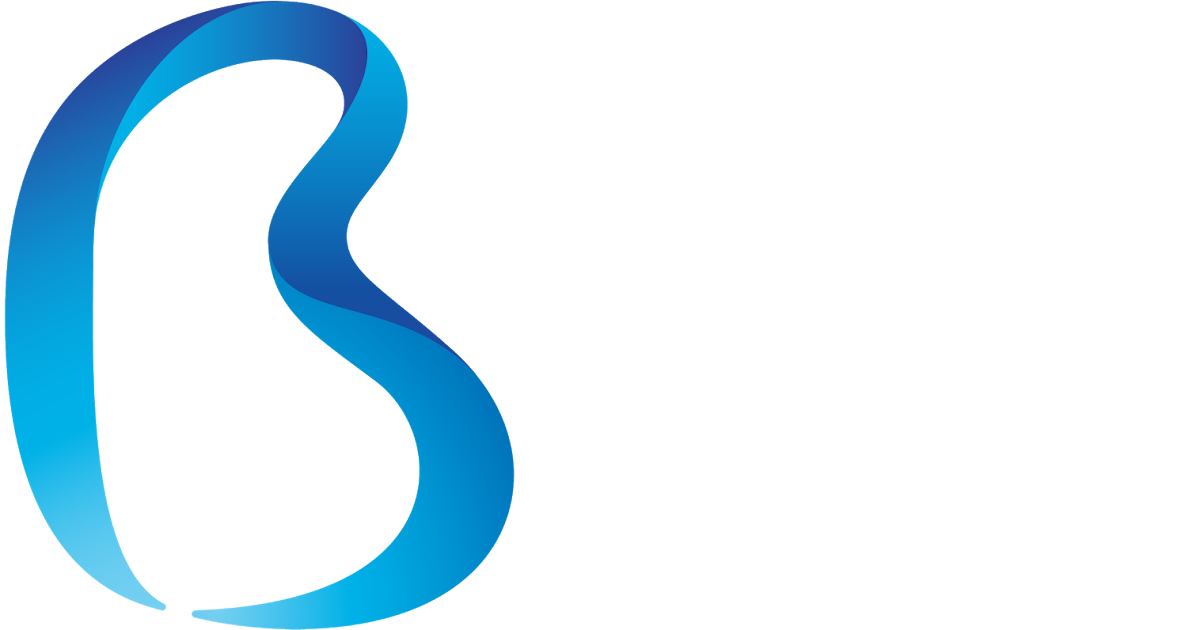 Biznet company profile