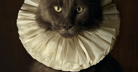 Content in a Cottage: Cats Wearing White Collars (Ruffs)