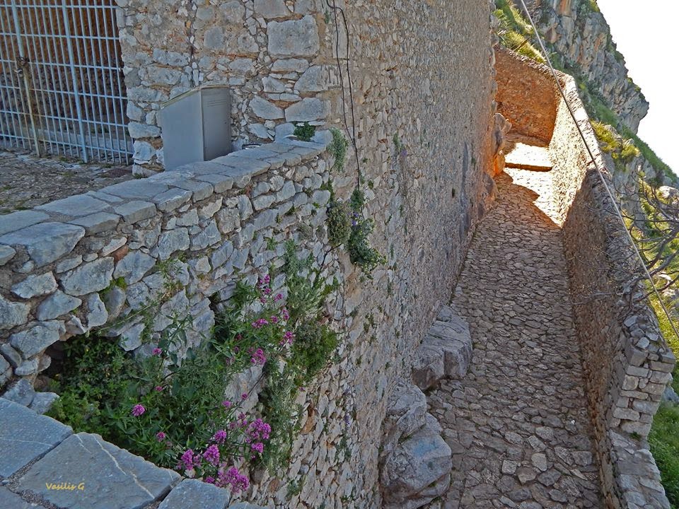 Homo Universalis: ΦΩΤΟΓΡΑΦΙΕΣ ΤΟΥ ΒΑΣΙΛΗ ΓΚΑΝΑ ΜΕ ΘΕΜΑ "ΝΑΥΠΛΙΟ ...