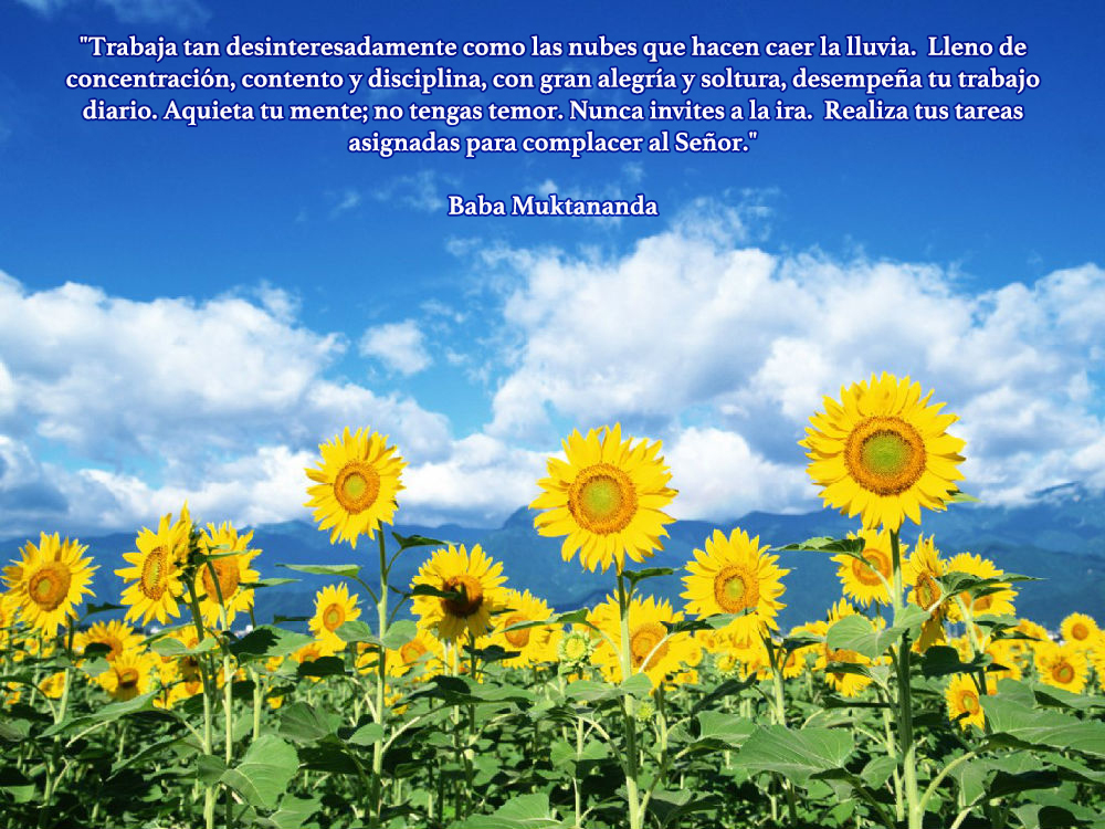 SOY LUZ EN EL CAMINO: SERVICIO DESINTERESADO, por Swami Chidvilasananda