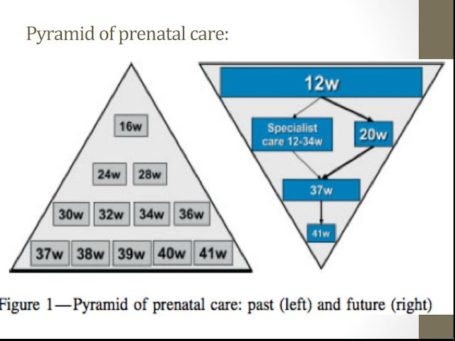Rekod Kehamilan ~ Doktor Siti