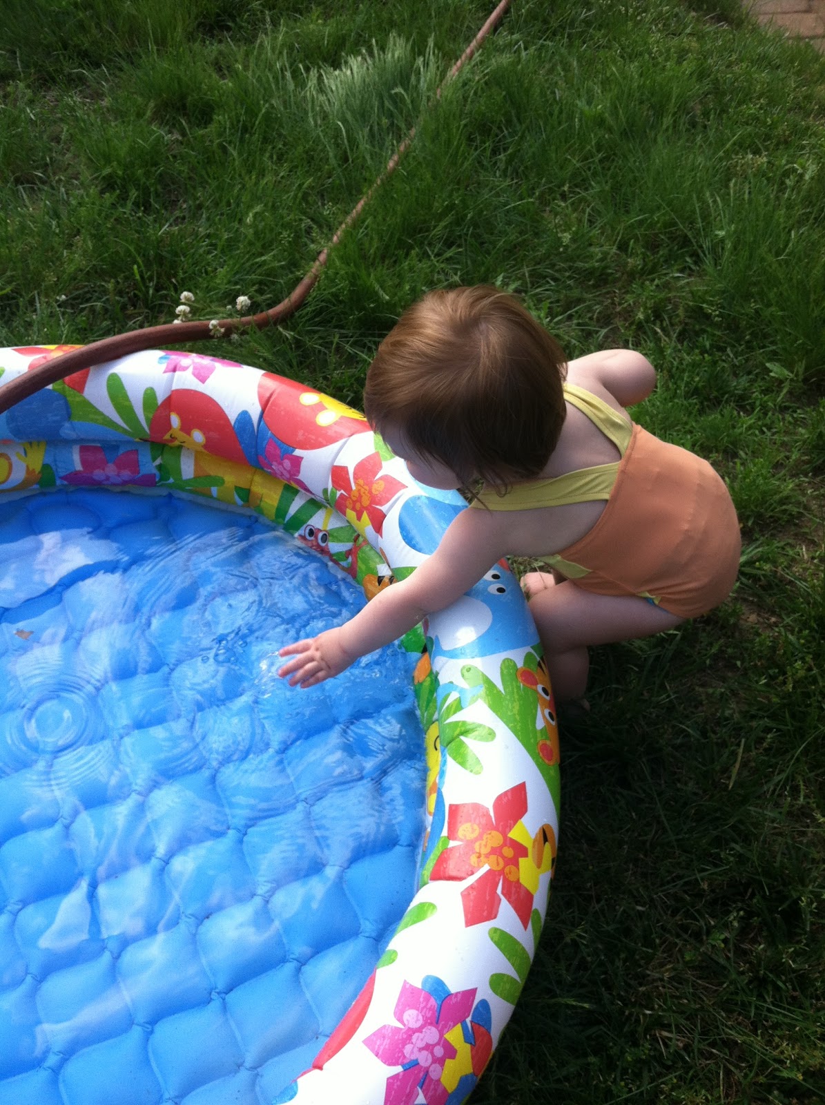 HearMyHands ASL: Sign: SWIM!