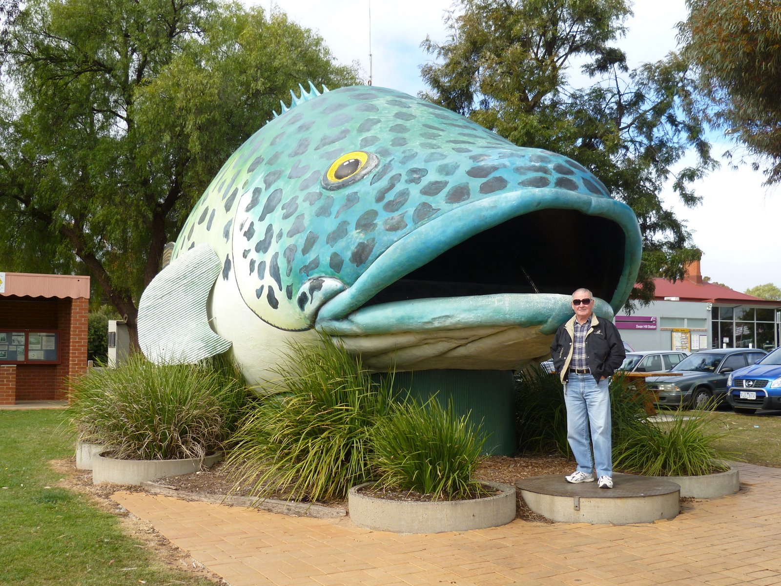 Witchwae on the Move: Murray Cod - Swan Hill