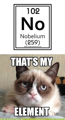 Grumpy Cat