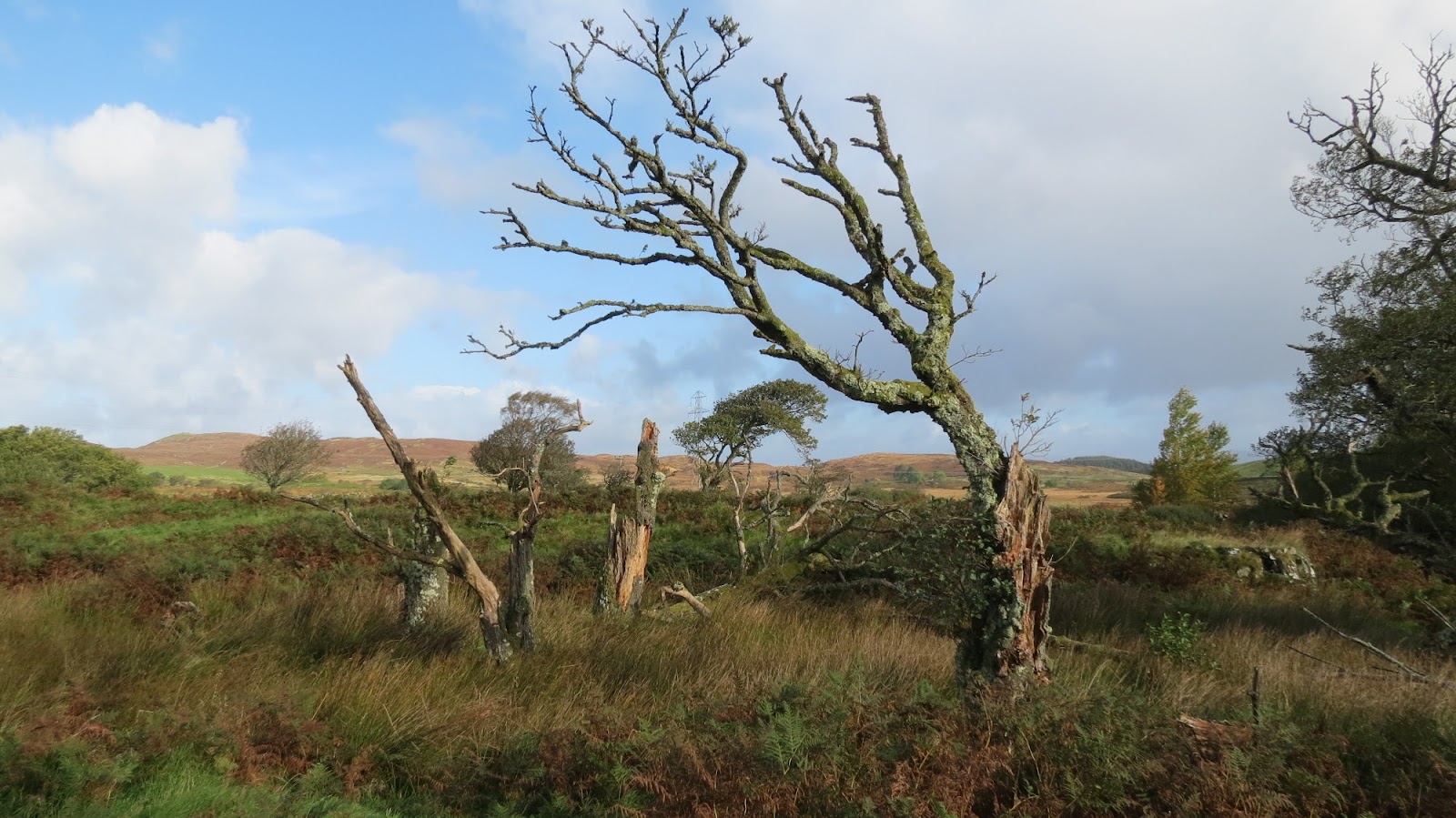The Glebe Blog: Wigtownshire Ramblers Culvennan Fell September 2012