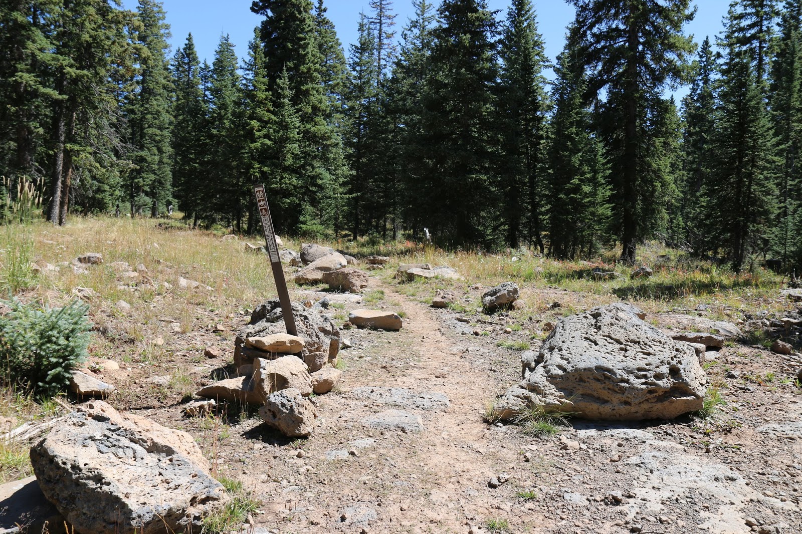 gjhikes.com: Skid Trail