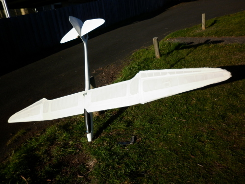 Wings N' Flying Things: Bird of Time