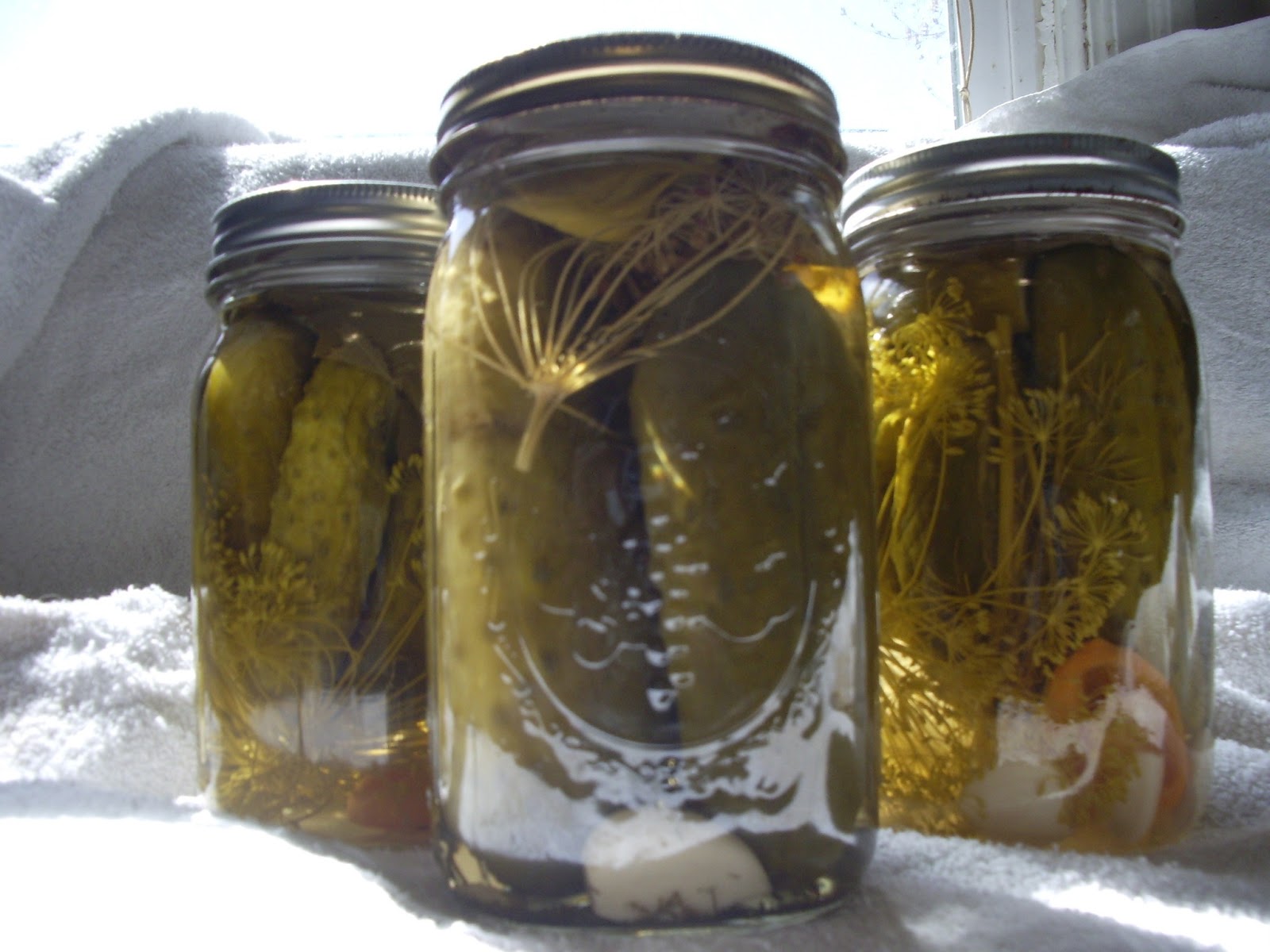 The Duchess Of Cansalot : The Perfect Pickle in an Imperfect World