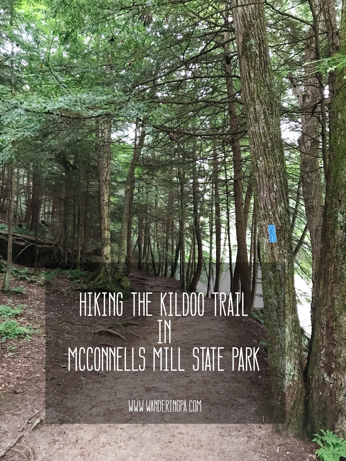 Wandering PA: McConnells Mill State Park - Kildoo Trail