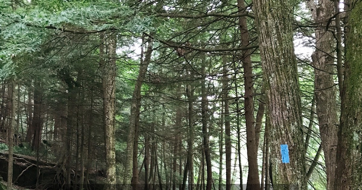 Wandering PA: McConnells Mill State Park - Kildoo Trail