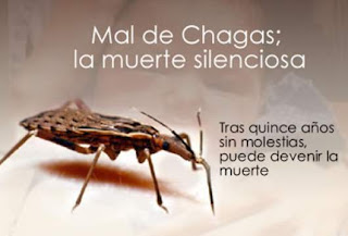 Enfermedad de Chagas: Enfermedad de Chagas: Signos y Síntomas
