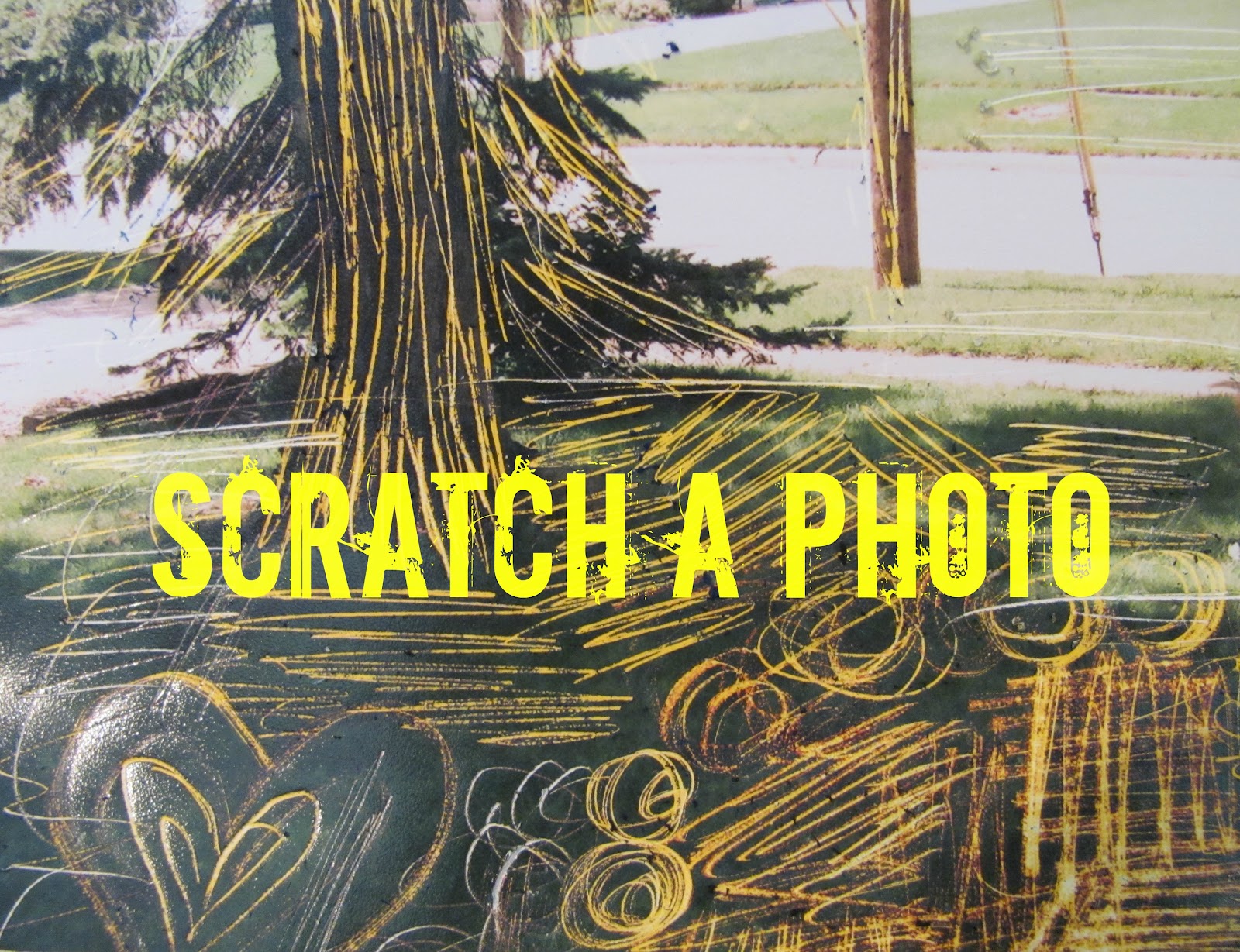 The Chocolate Muffin Tree: Scratch Through Photos