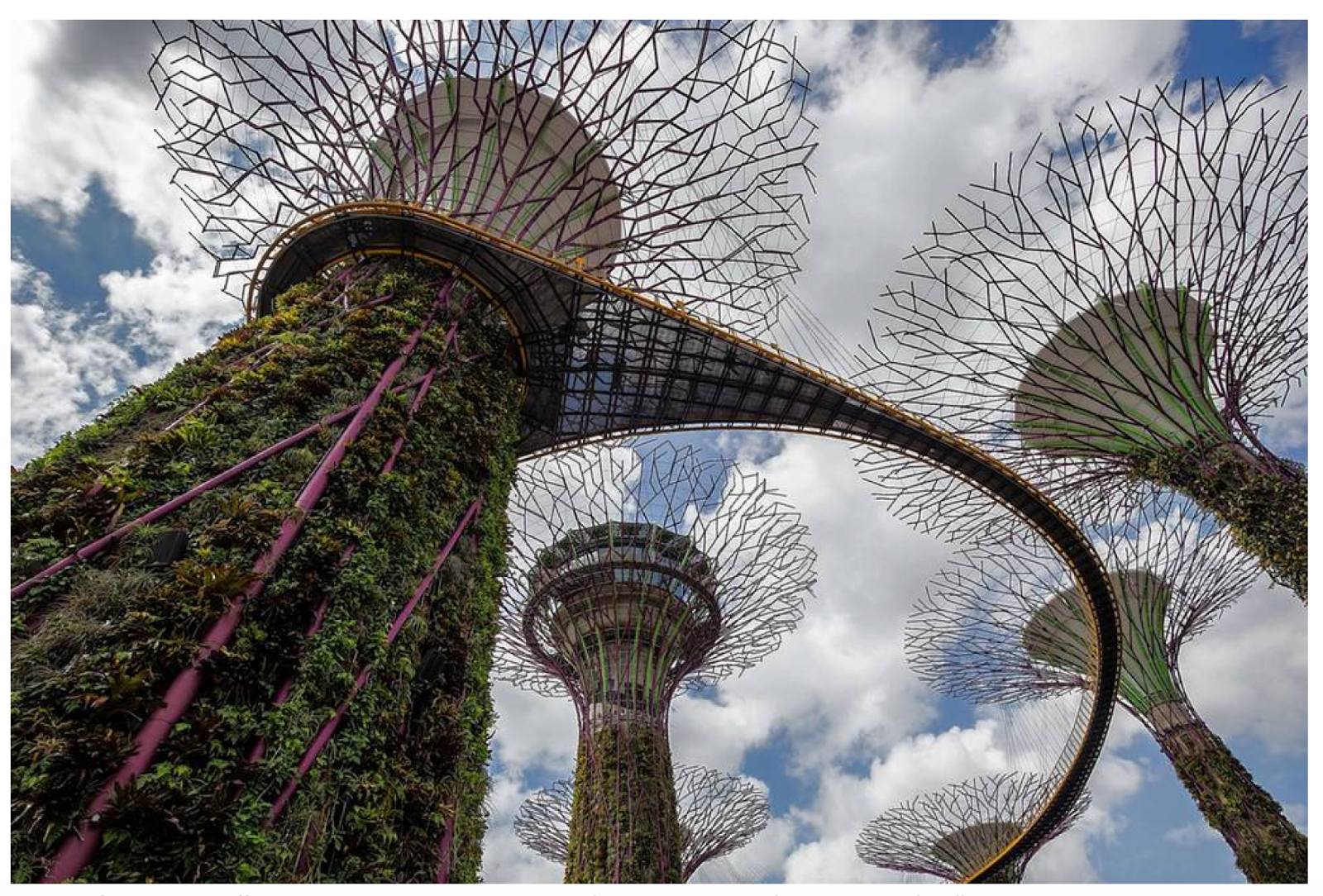 Living Architecture Daily: Singapore's supertrees