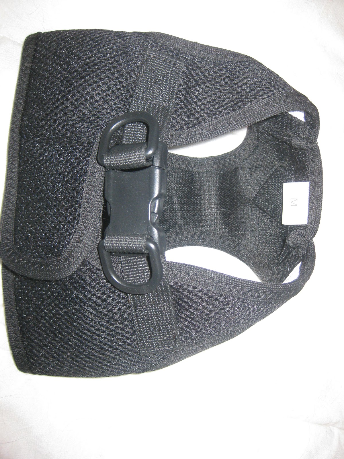 Around the Wherever: Product Review: TSA Fast Pass Leash and Harness