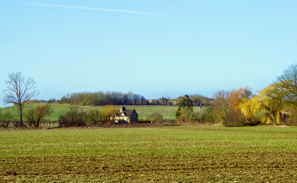 Walks, Wanderings, and Ramblings: Coton Nature Reserve, Cambridgeshire ...