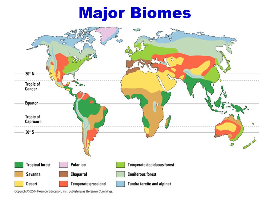 PETA DISTRIBUSI BIOMA DI DUNIA - Geografi