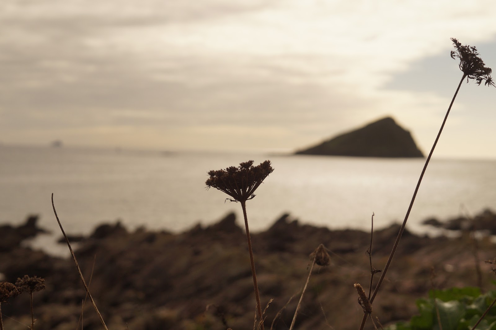 Wembury Point and the Great Mewstone - Sophie in the Sticks